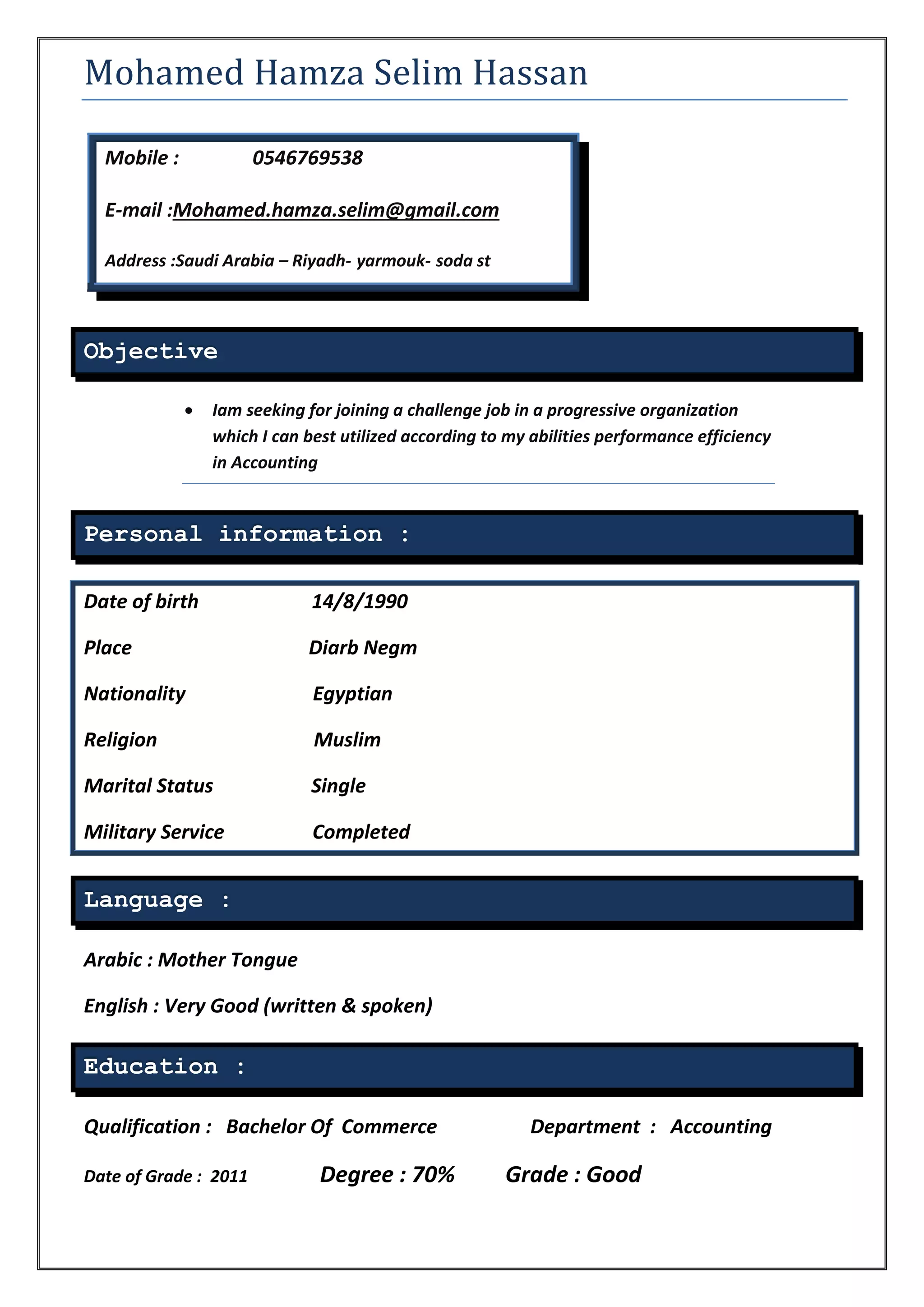 Mohamed hamza english C.V | PDF
