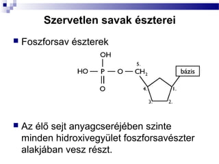 29 eszterek | PPT