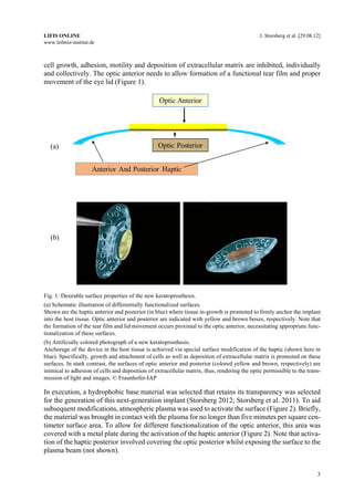 storsberg_29_08_12 | PDF