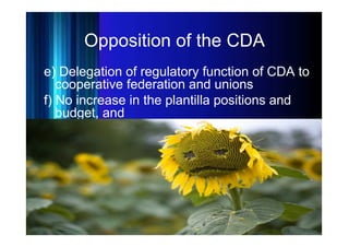 29th Annual General Assembly of SACDECO | PDF