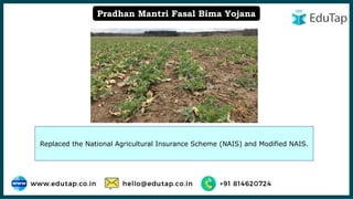 29th May 2024- PMFBY- Government Schemes.pdf