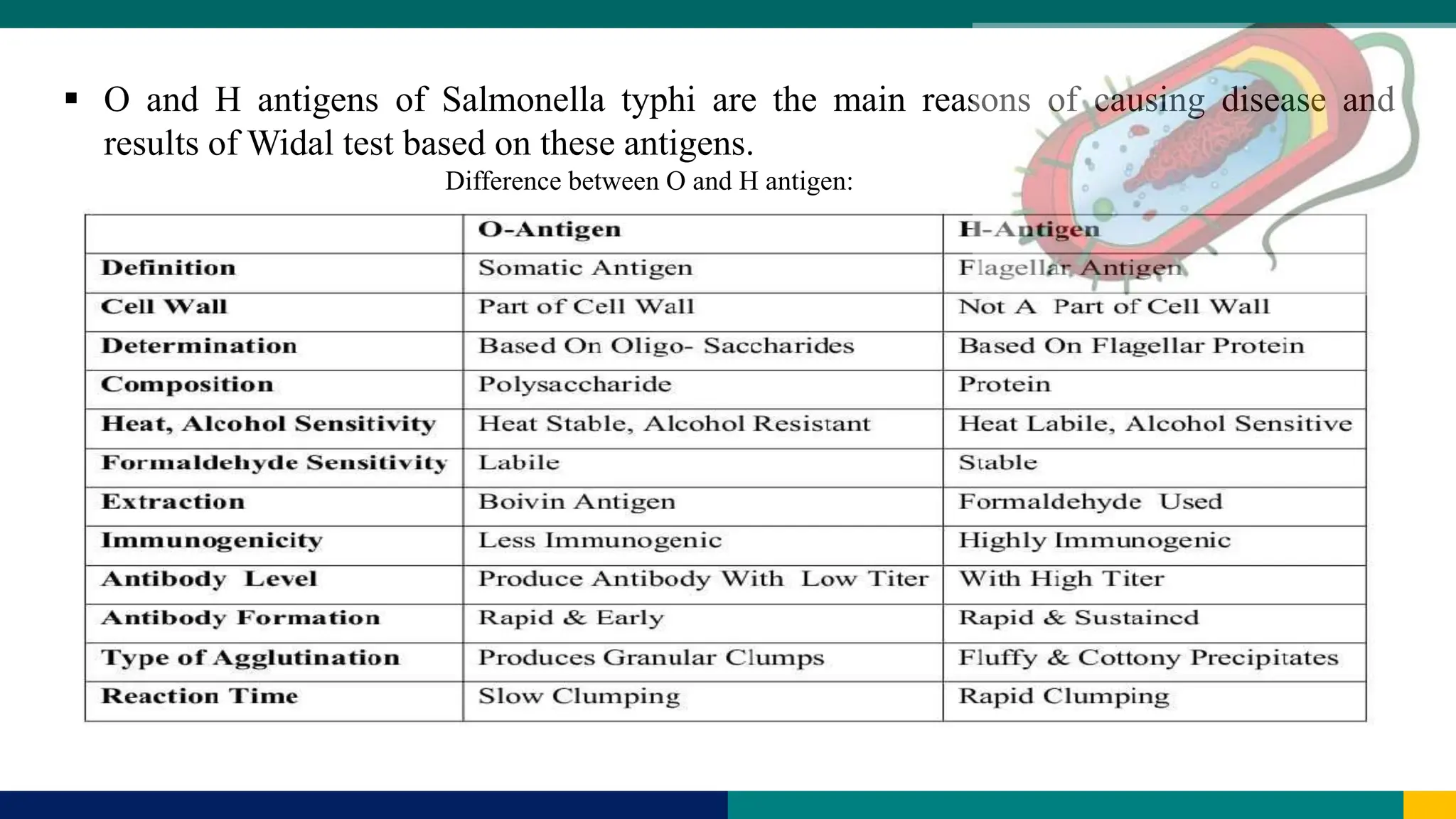 Widal Agglutination Test: A rapid serological diagnosis of typhoid ...