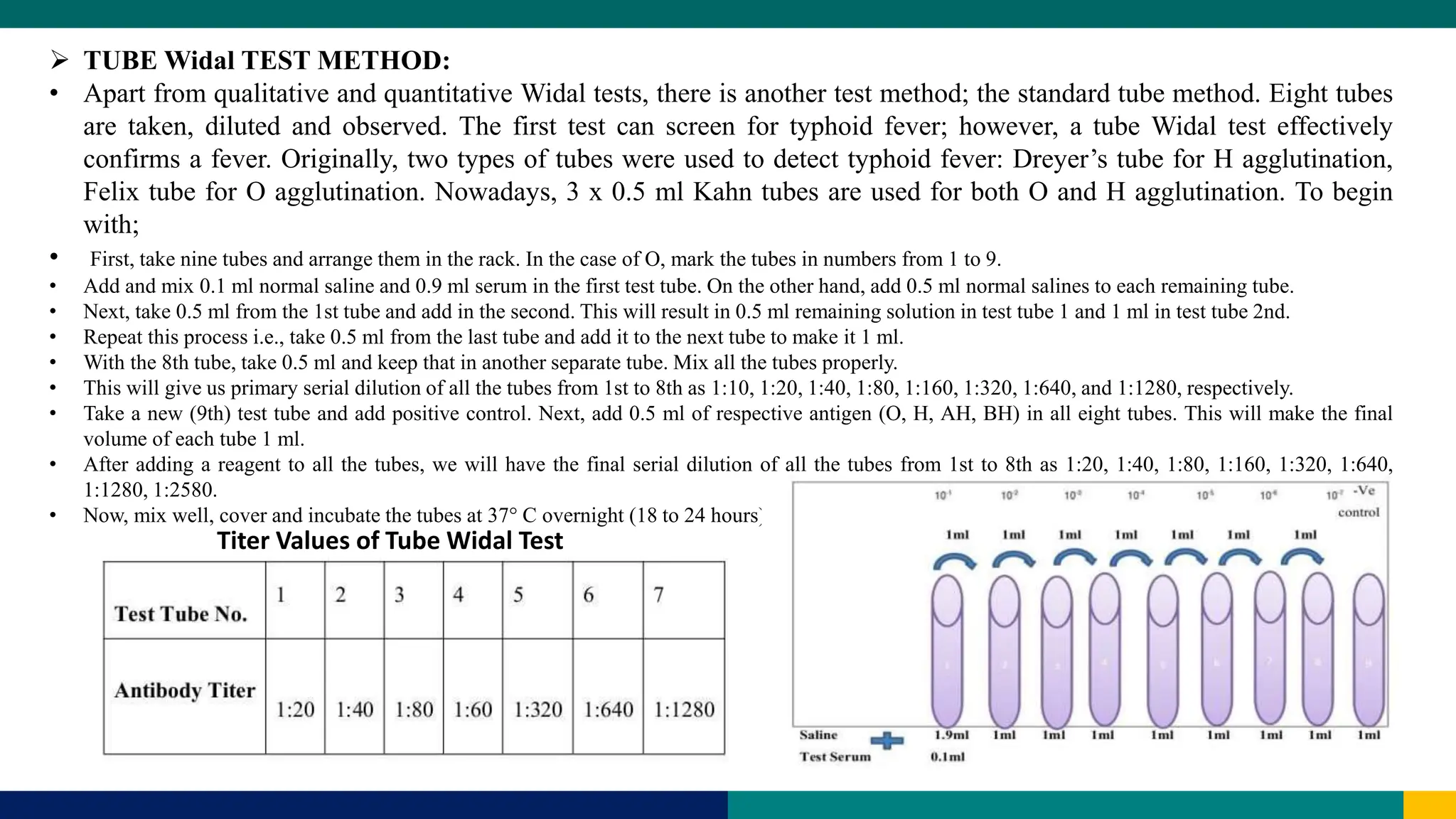 Widal Agglutination Test: A rapid serological diagnosis of typhoid ...