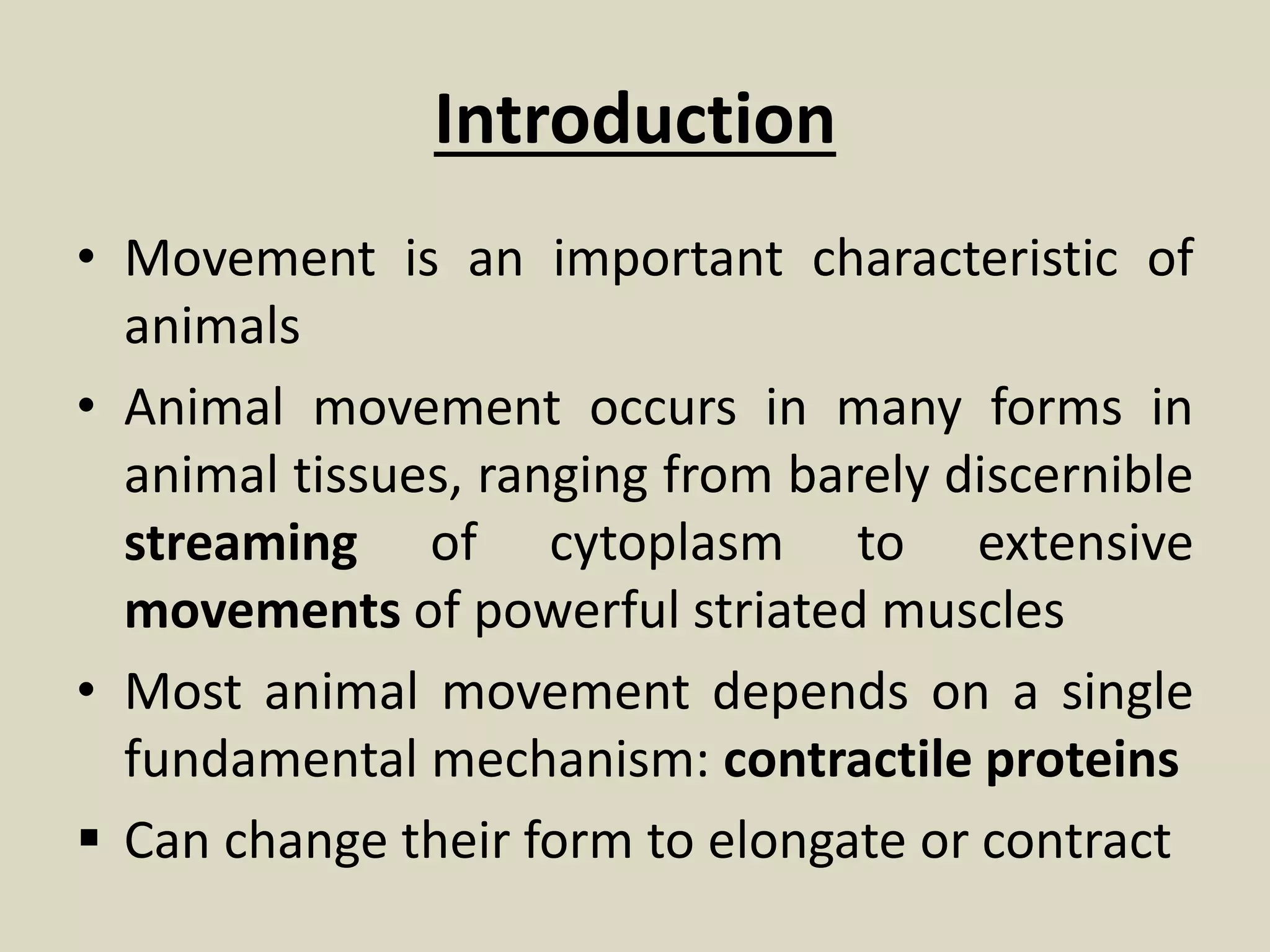 Animal Movement.pptx