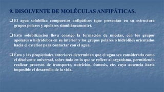 2a. Clase. Estructura del Agua. Clase 2 Bioquimica.pptx