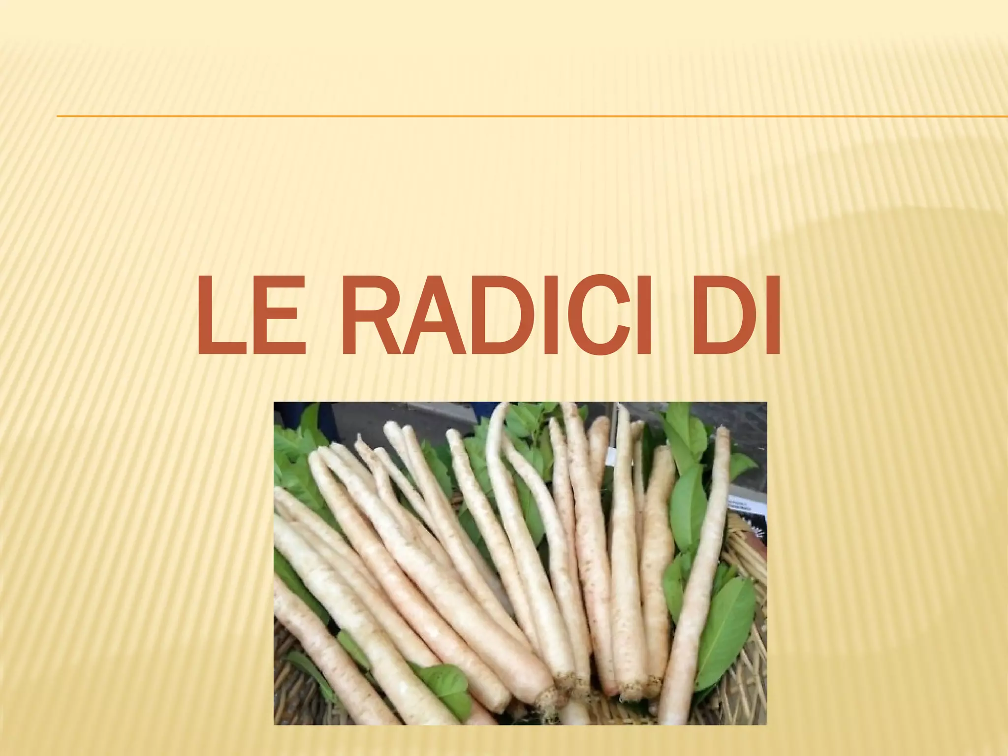 2A 2B ITIS Le radici | PPT