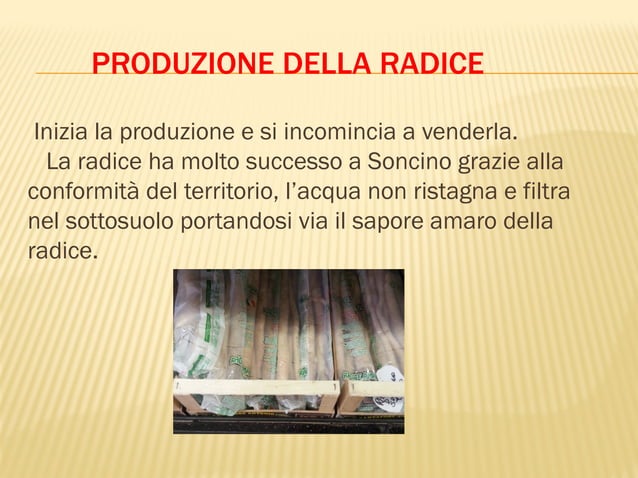 2A 2B ITIS Le radici | PPT