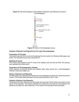 Experiment 3: Thin-layer Chromatography and Column Chromatography | PDF