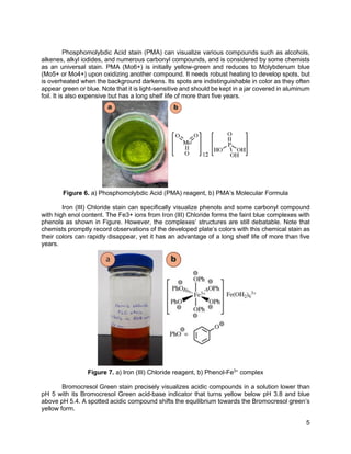 Experiment 3: Thin-layer Chromatography and Column Chromatography | PDF ...