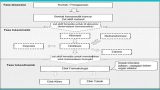 Toksikokinetik | PPTX