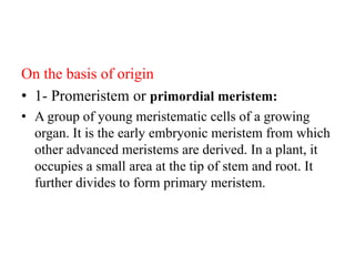 2a-Meristematic Tissues.pptx