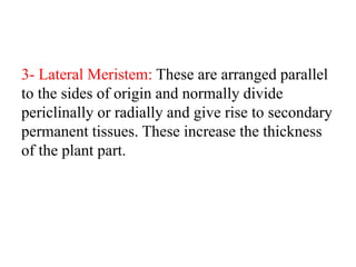 2a-Meristematic Tissues.pptx