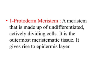2a-Meristematic Tissues.pptx