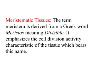 2a-Meristematic Tissues.pptx