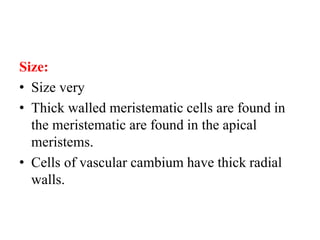 2a-Meristematic Tissues.pptx