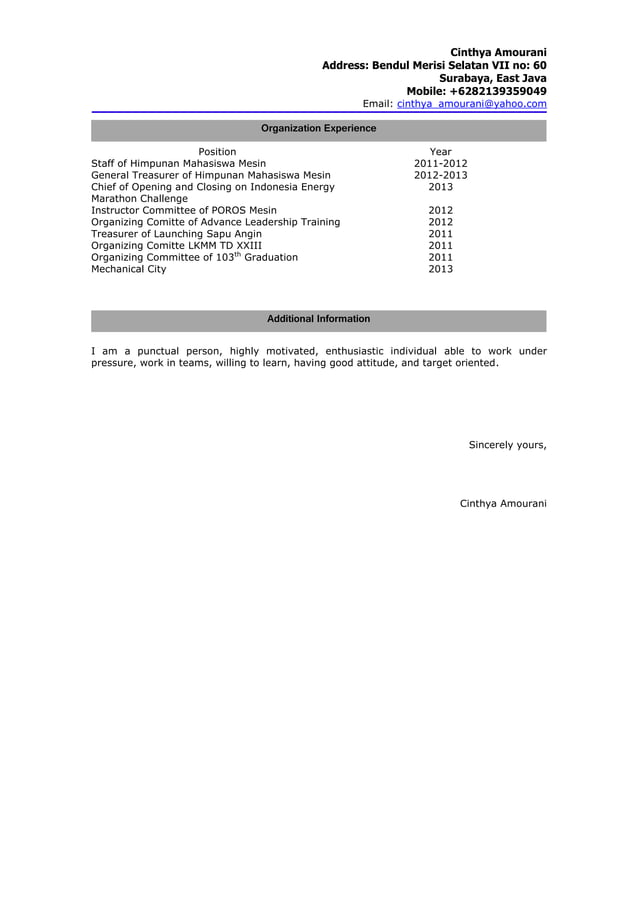CV eng updated | PDF