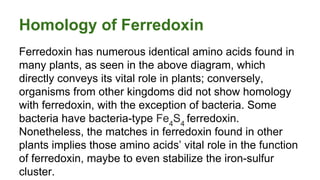 Poster WSSP Ferredoxin | PDF | Chemistry | Science