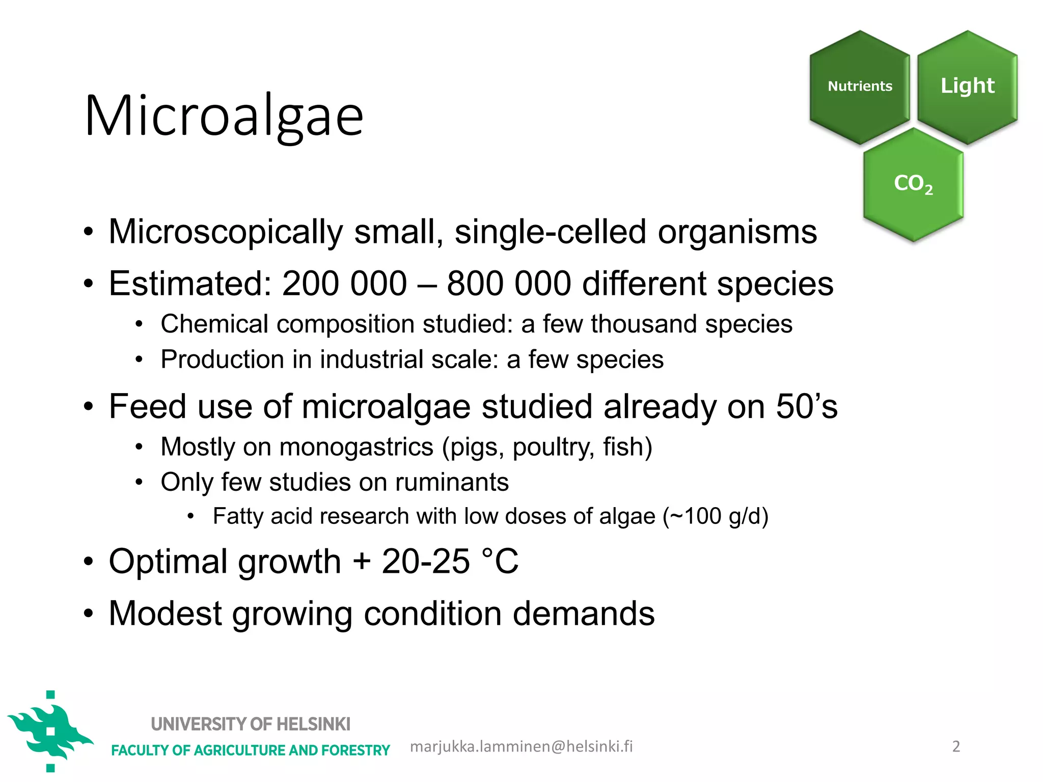 Microalgae as a protein feed for dairy cows | PDF