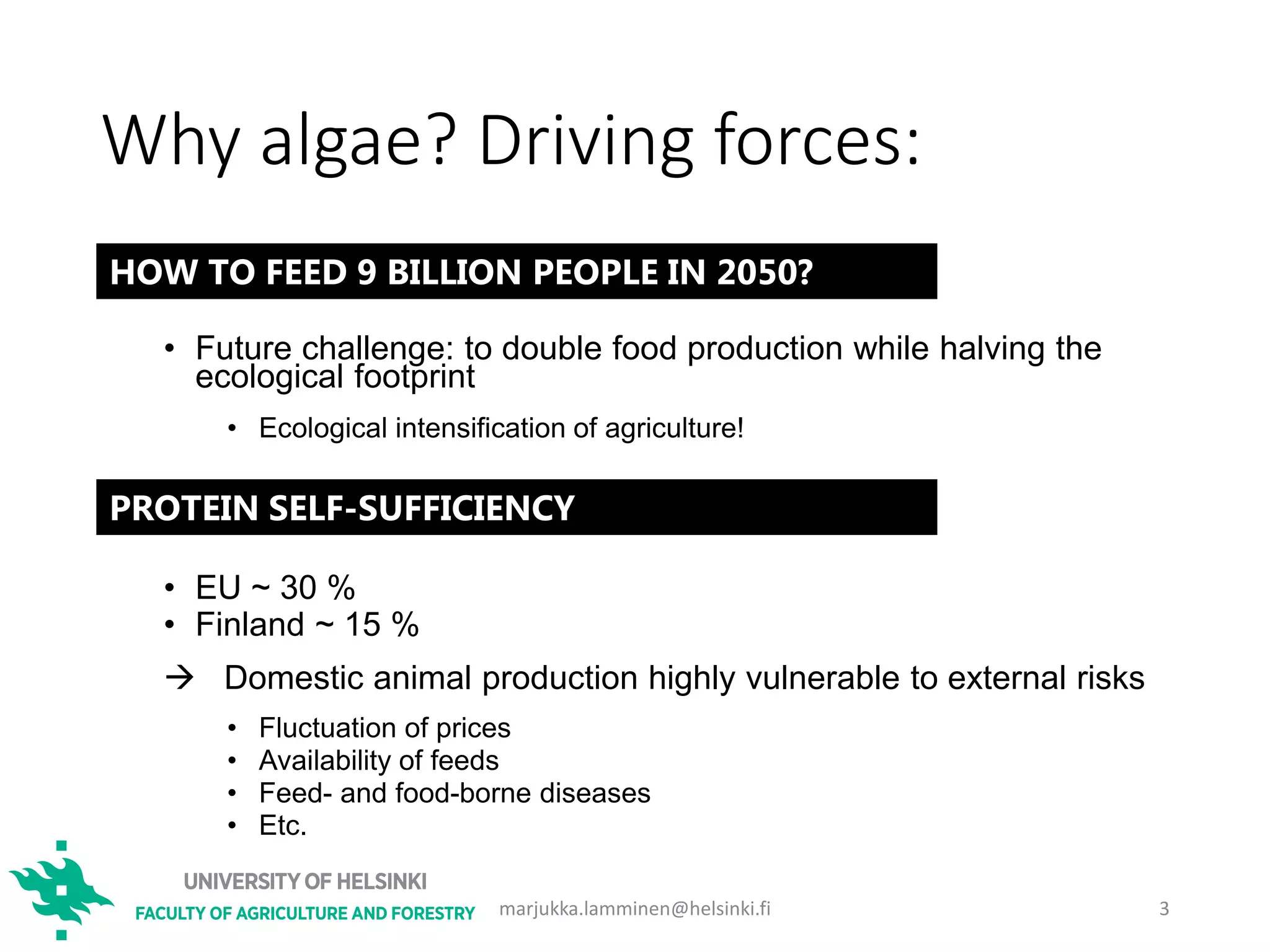Microalgae as a protein feed for dairy cows | PDF