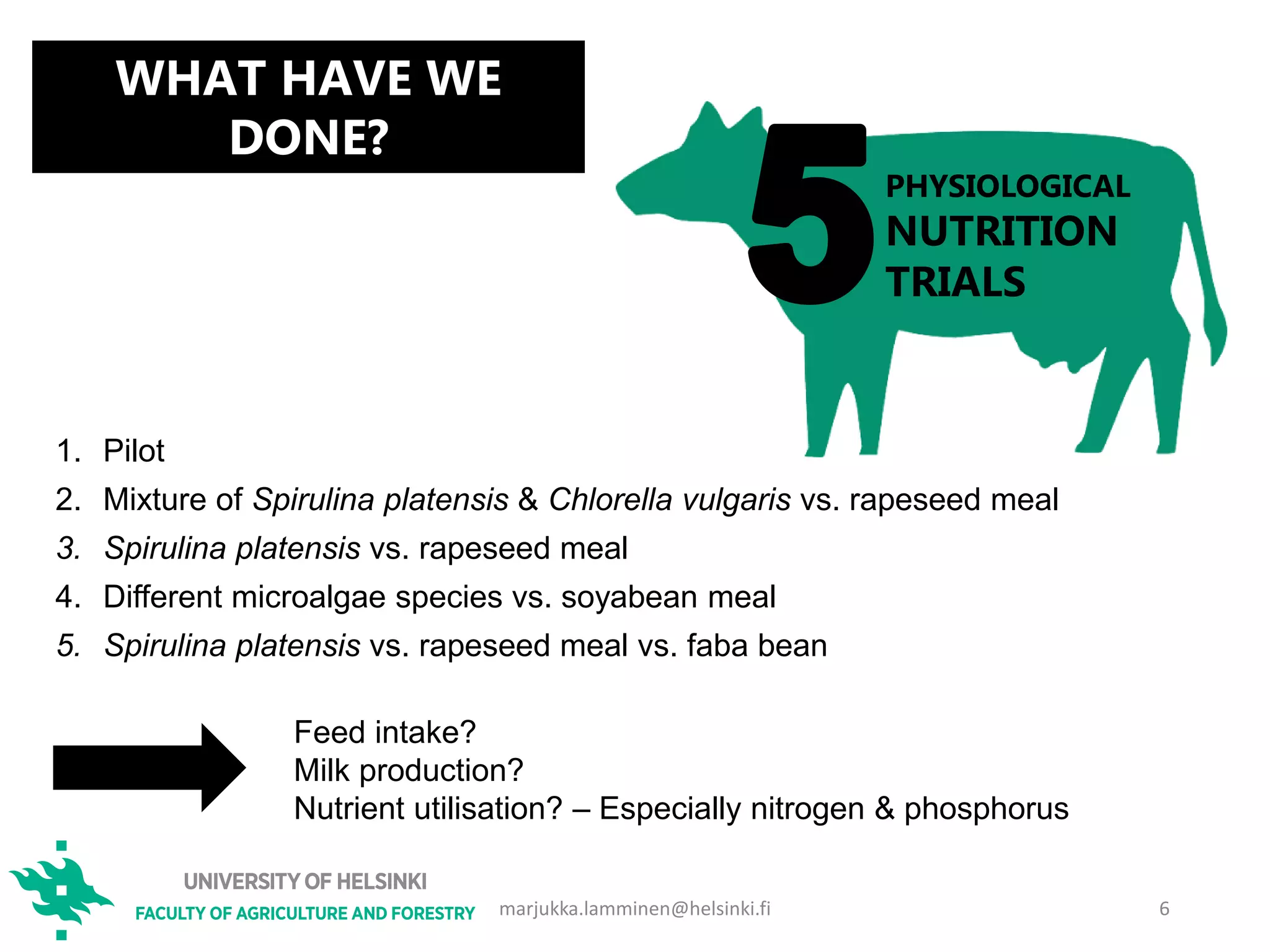 Microalgae as a protein feed for dairy cows | PDF