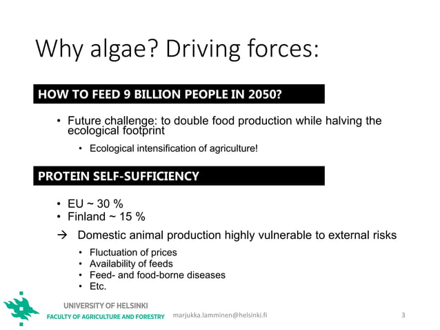 Microalgae as a protein feed for dairy cows | PDF | Nutrition | Healthy ...