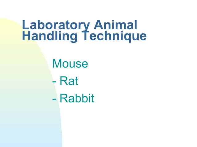Animal Handling Program | PPT | Blood Disorders | Diseases and Conditions