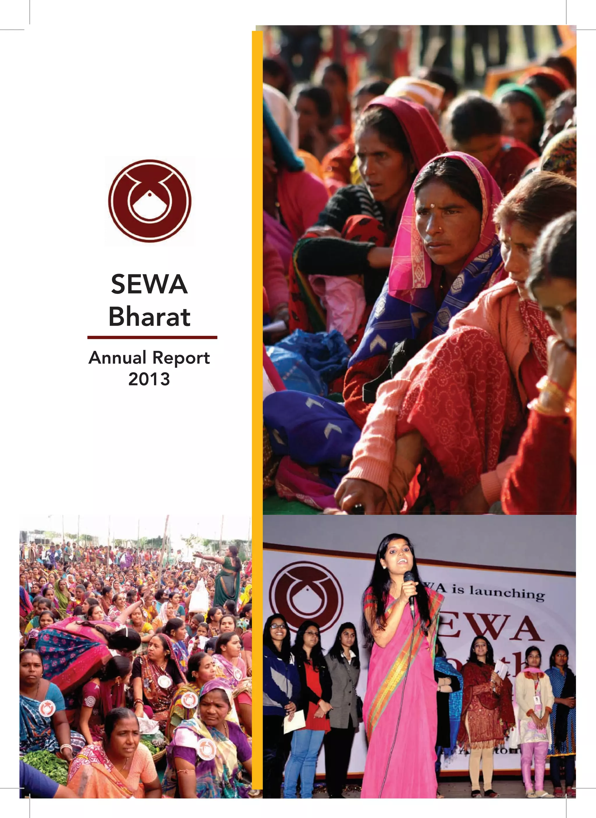 SEWA Bharat Annual Report 2013 | PDF
