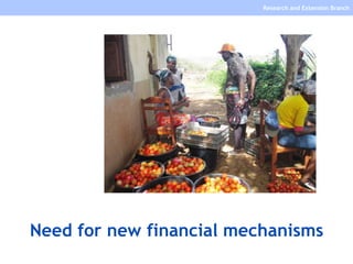 Funding mechanisms and sustainability | PPTX