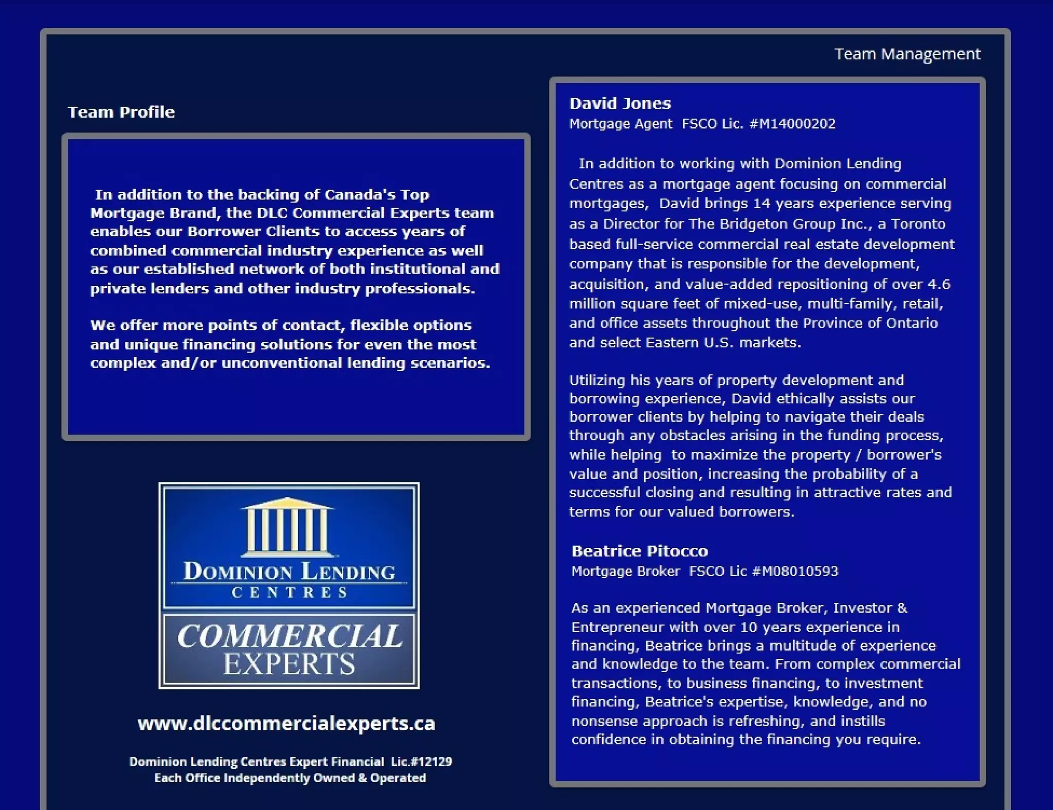 DLC Commercial Experts | PPT