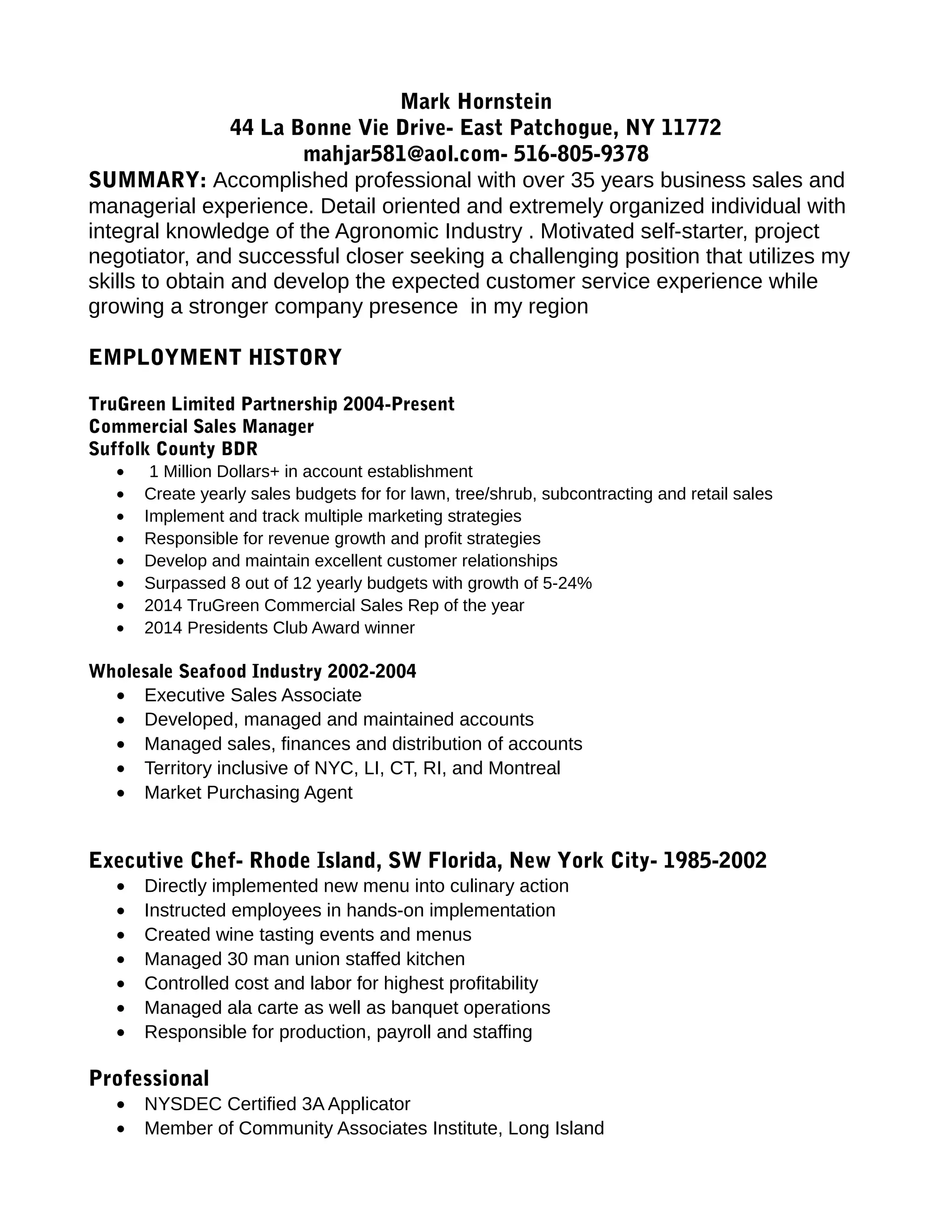 mark hornstein resume | DOC