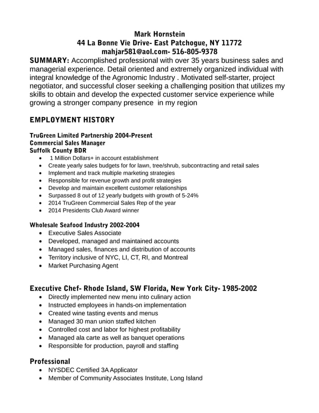 mark hornstein resume | DOC | Sales | Business