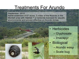 Arundo presentation SSRC May 2013 | PPT