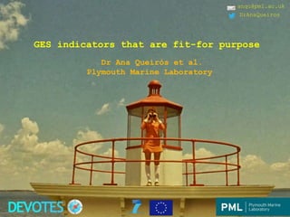 Good Environmental Status indicators that are fit for purpose | PPT