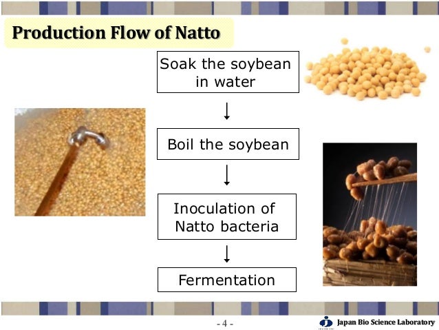 NATTOKINASE SLIDES
