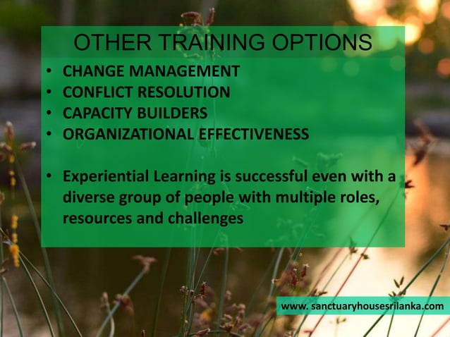 TEAM BUILDING PROPOSAL