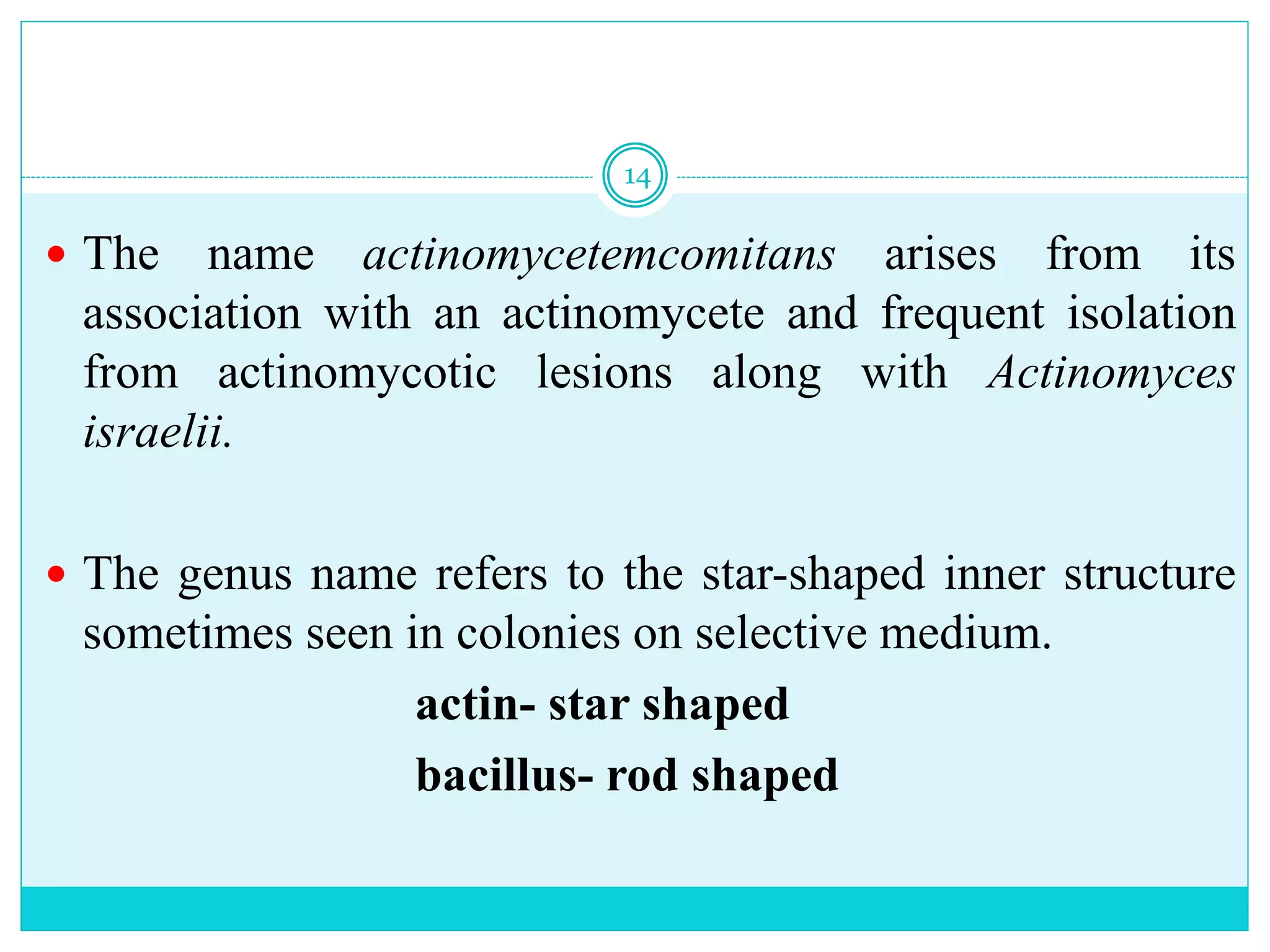 AGGREGATIBACTER ACTINOMYCETEMCOMITANS | PPTX | Dental Health | Diseases ...