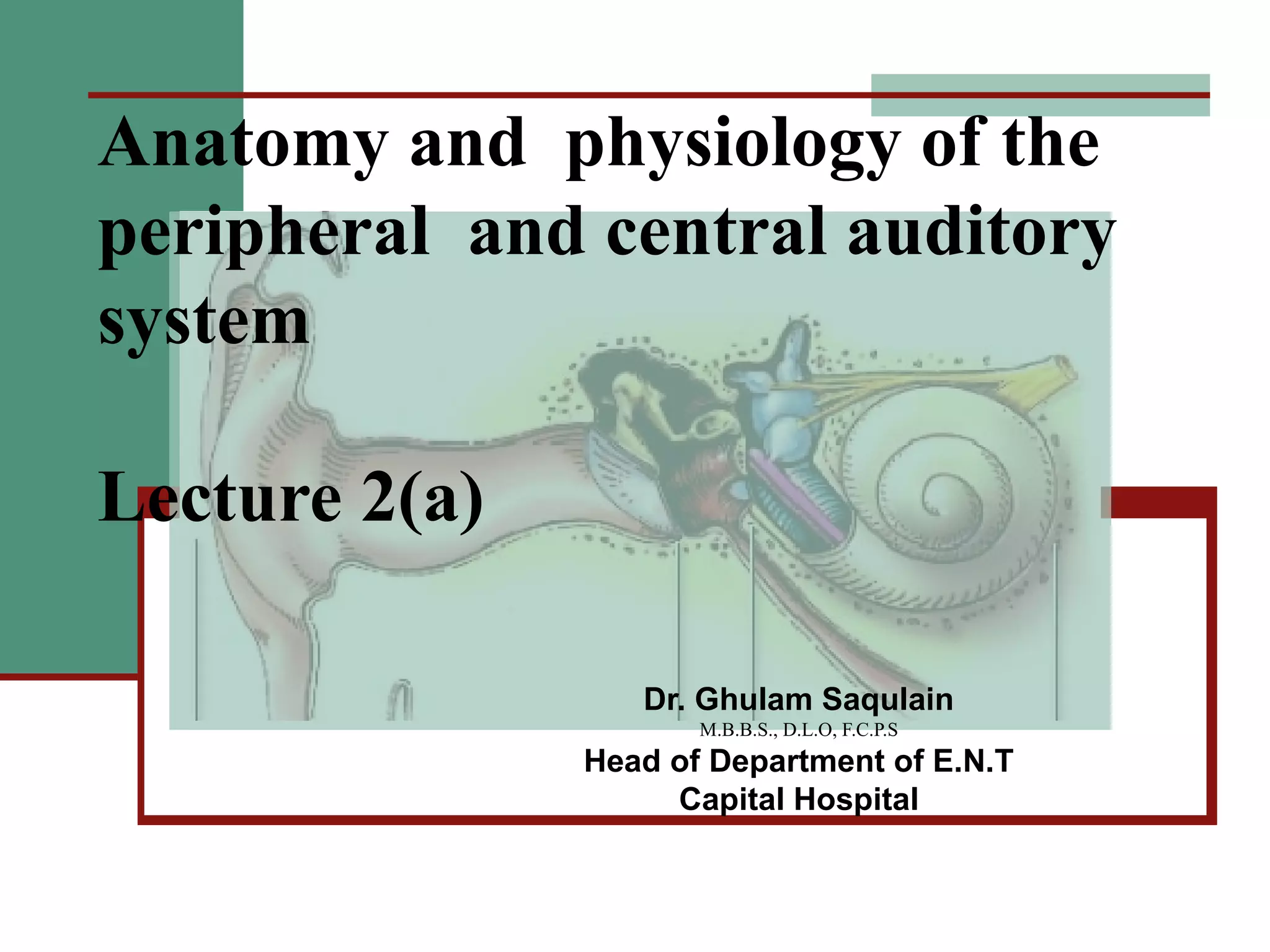 2(a) anatomy and physiology of the peripheral and central auditory ...