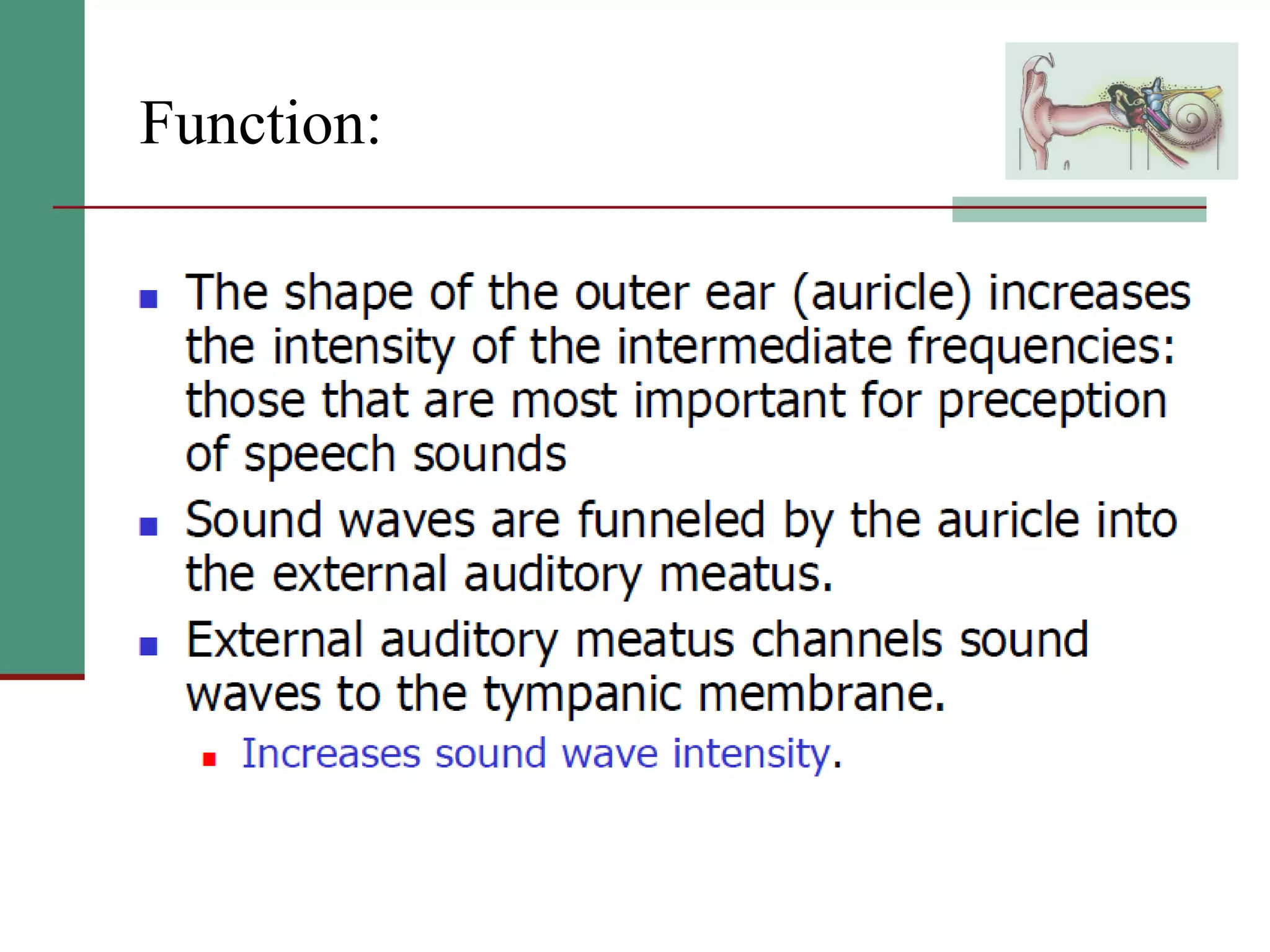 2(a) anatomy and physiology of the peripheral and central auditory ...