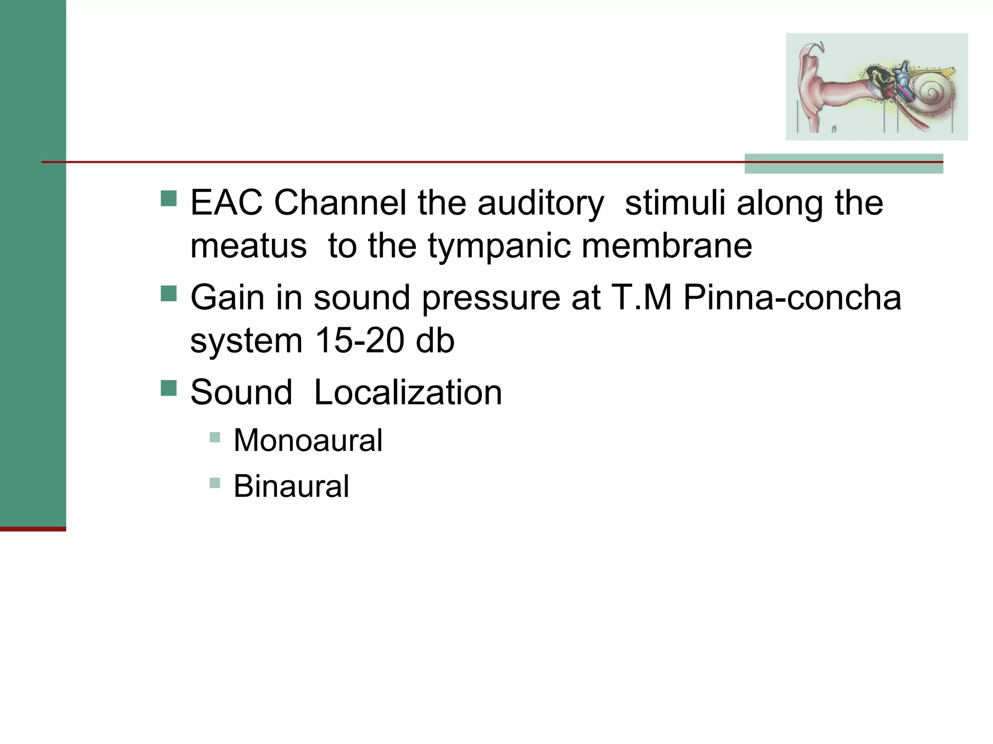 2(a) anatomy and physiology of the peripheral and central auditory ...
