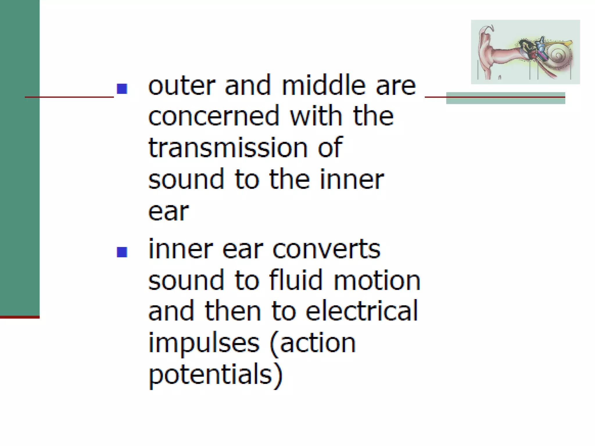 2(a) anatomy and physiology of the peripheral and central auditory ...