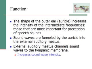 2(a) anatomy and physiology of the peripheral and central auditory ...