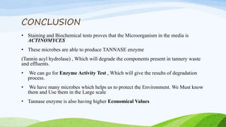 main-MICROBIO PROJECT - FINAL REVIEW PPT | PPTX