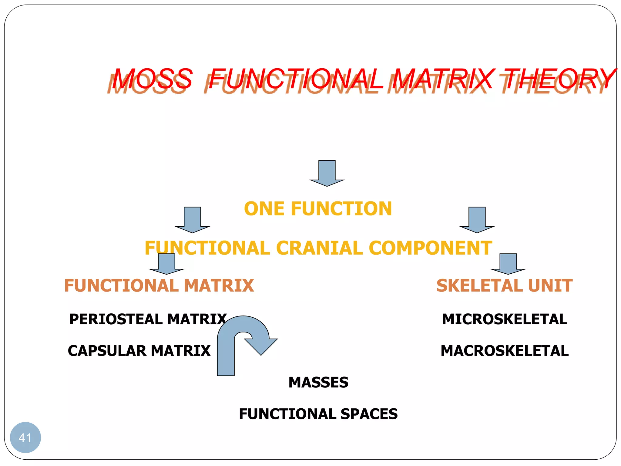 2a) Basic principles of growth.ppt