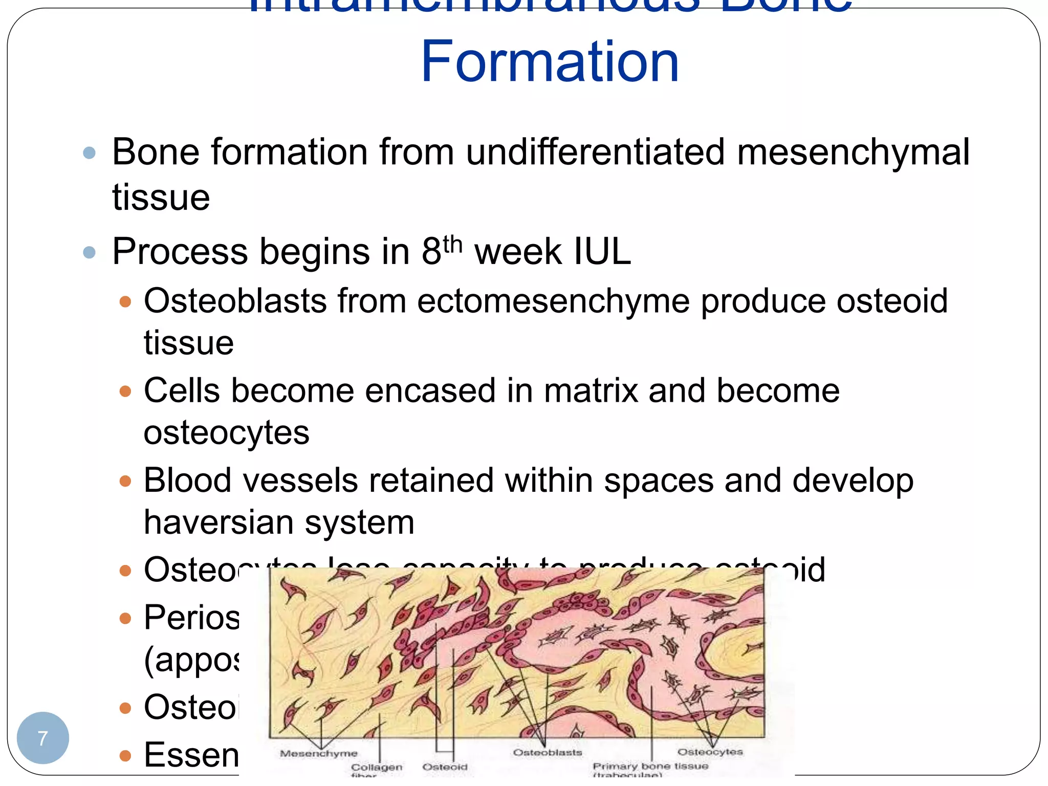 2a) Basic principles of growth.ppt