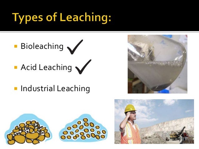 Mid-Term-Bioleaching-Presentation-2015