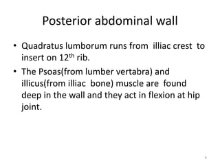 2 Abdomen and Pelvis.pptx111111111111111111111111 | PPTX