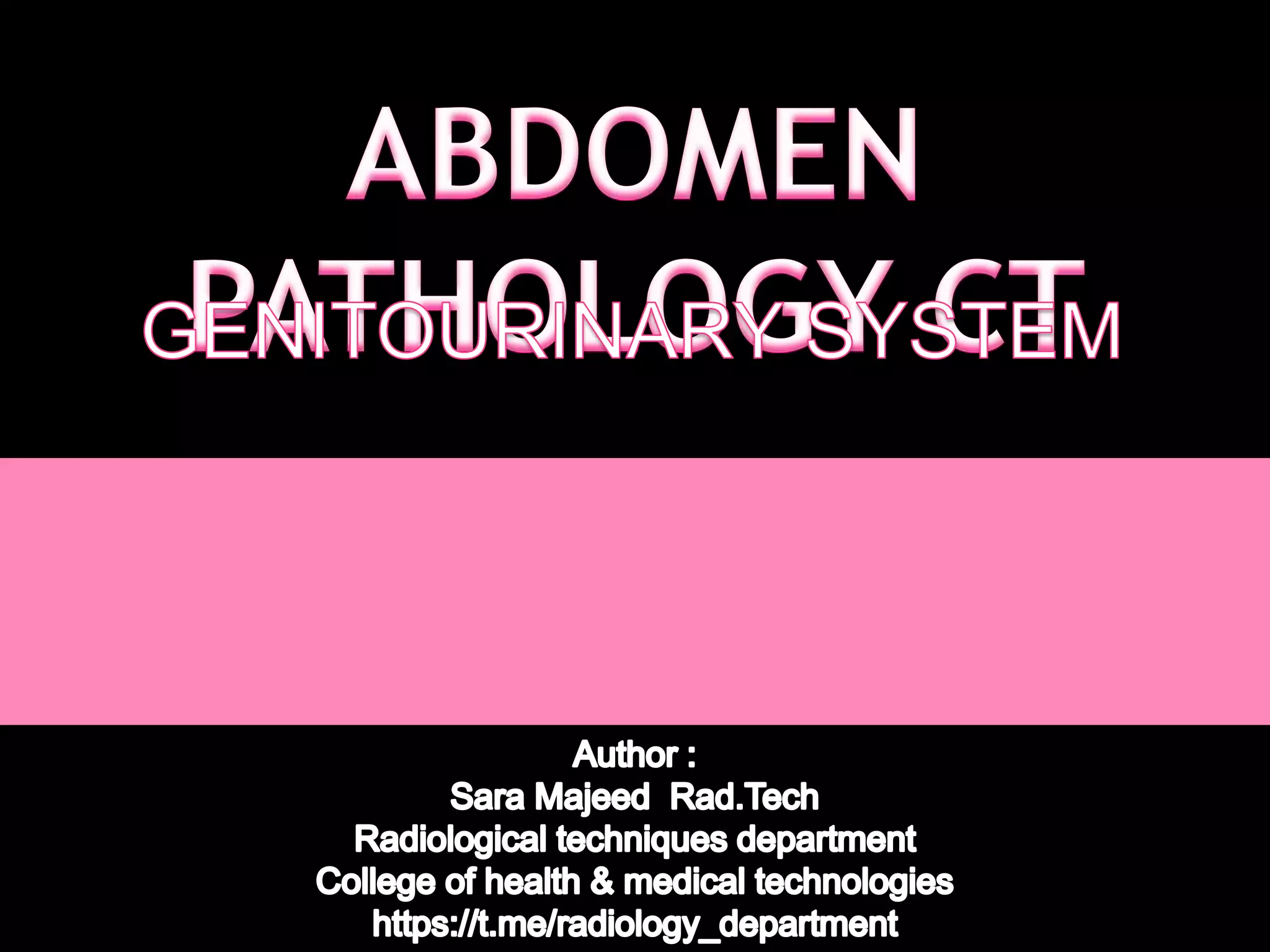 2 abdomen pathology ct | PPT