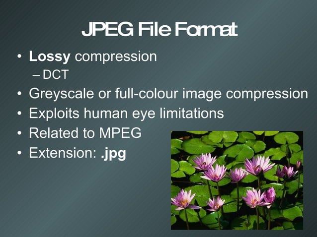 2a Bitmapped Graphics Hardware | PPT