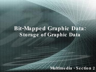 2a Bitmapped Graphics Hardware | PPT