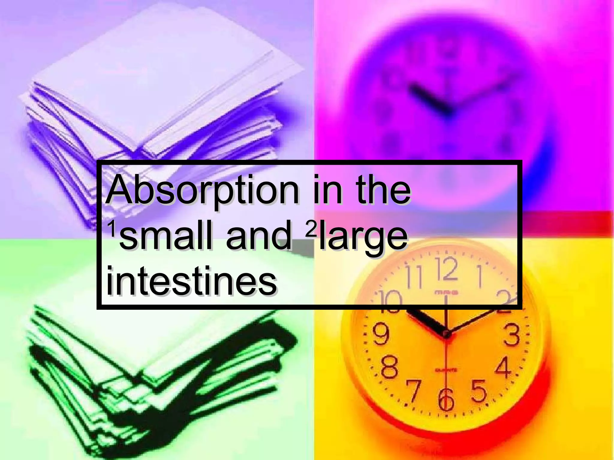 Chapter 6 Nutrition in Humans Lesson 2 - Absorption and Assimiliation | PPT